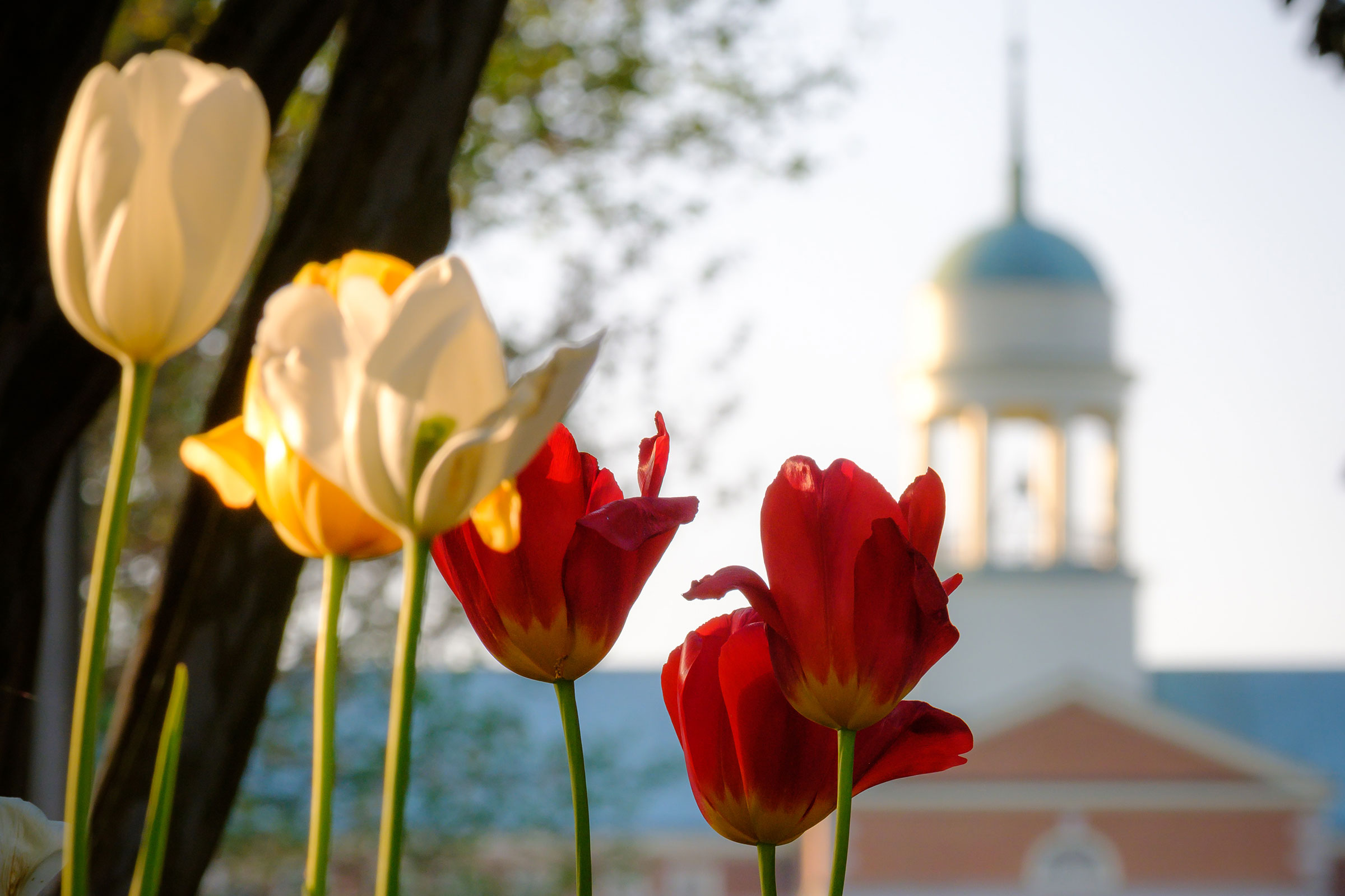 ZSR Library Annual Report, 2021-2022 - ZSR Library