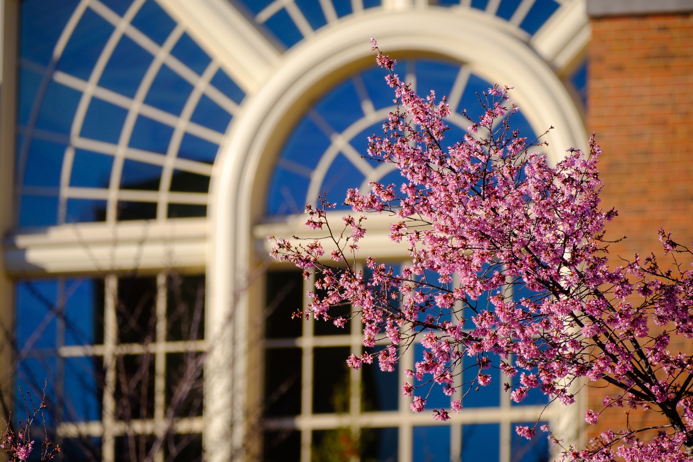 ZSR Library Annual Report, 2022-2023 - ZSR Library