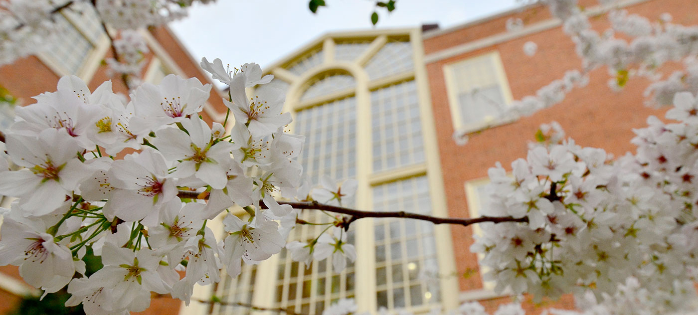 About the Library - ZSR Library