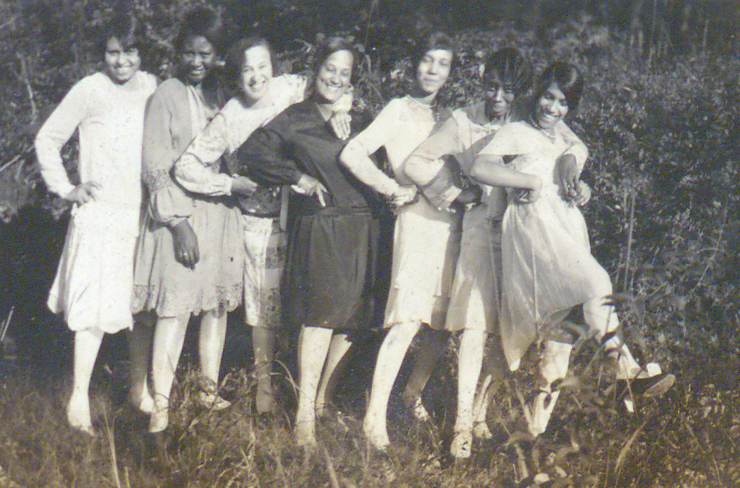 100 Digital Collections and Growing: See What’s New - ZSR Library