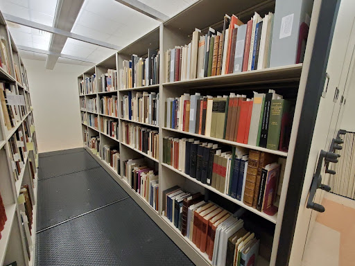 What Are You Working On? With Alayna Veasey - ZSR Library