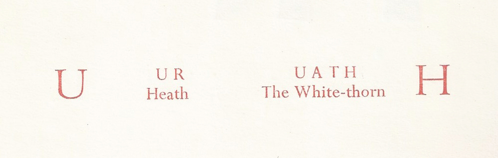 Michael Biggs, Lettering Artist on Paper and Stone - ZSR Library