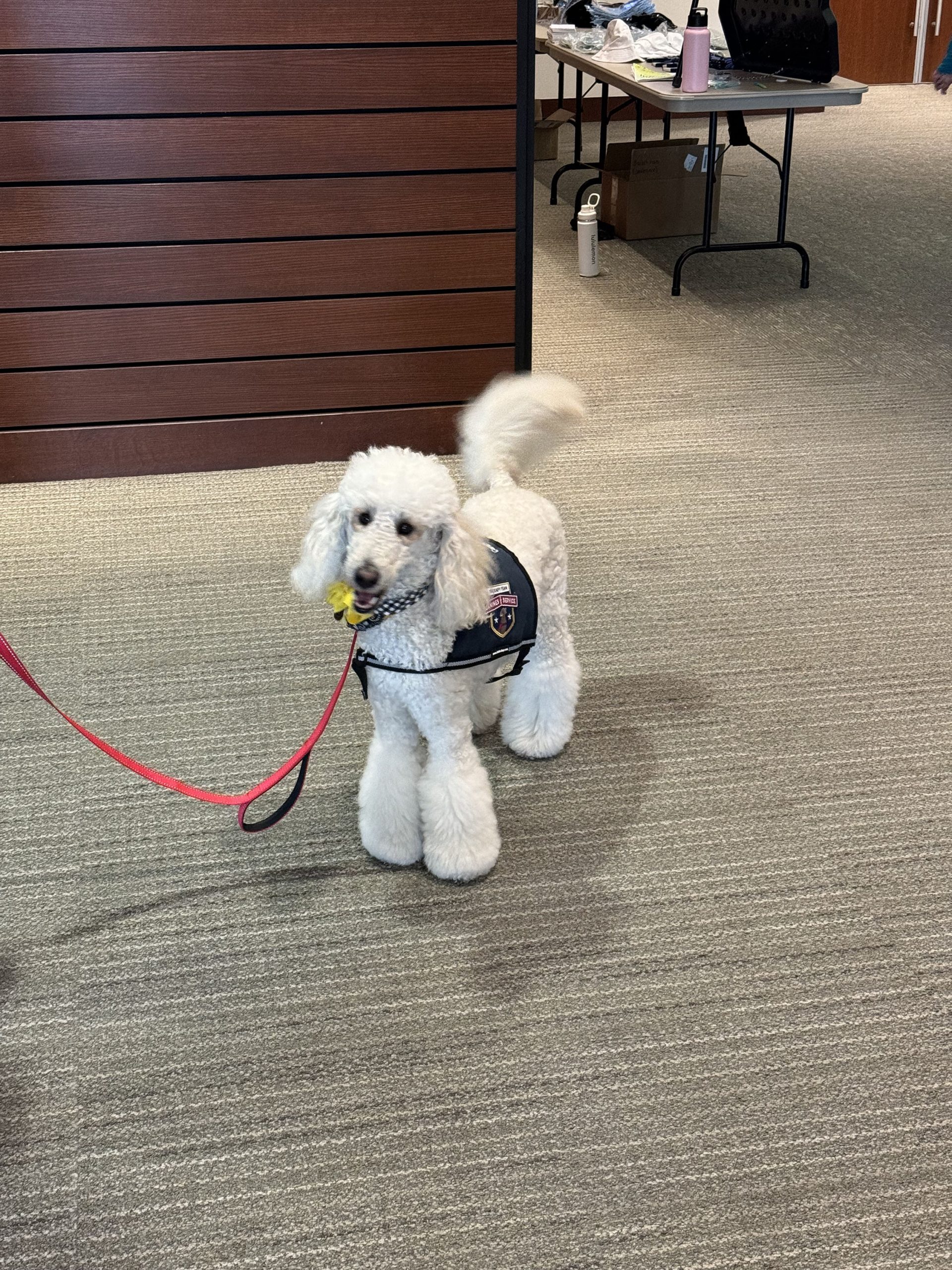 ⁤Will at the 2024 NC LIVE Annual Conference - ZSR Library